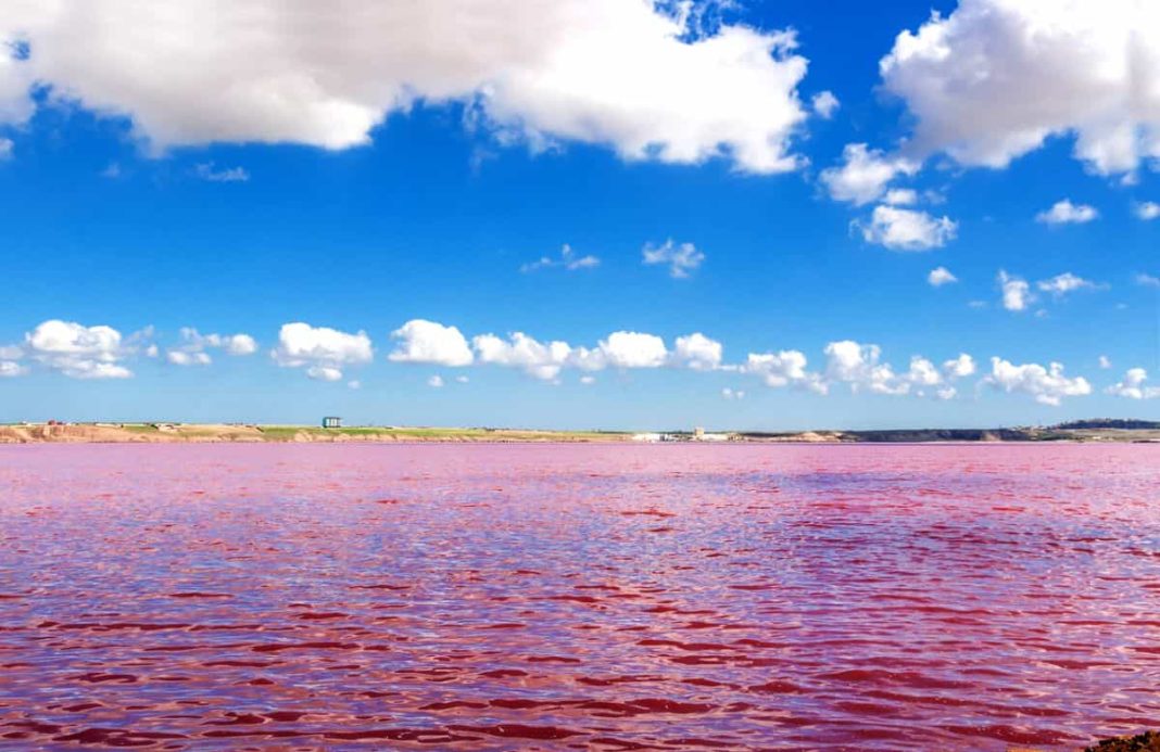 8 Most Stunning Naturally Pink Lakes Around The World